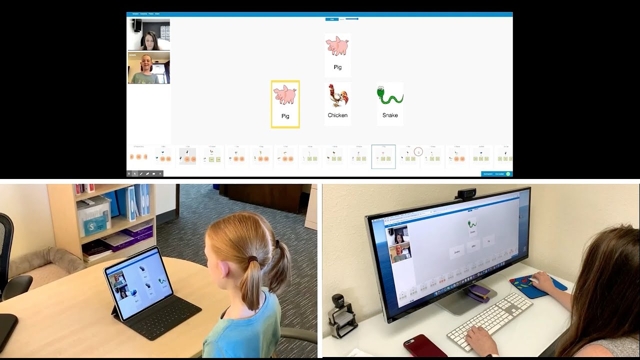 Remote Learning Virtual Teaching Materials for Special Education