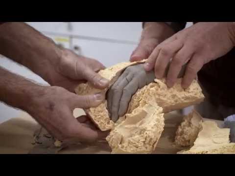 Meet Graham, The Human Designed to Survive Car Crashes | Bernadette Uy ...