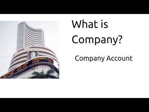 Introduction to Company Accounts Video Lecture - Accounting for CA ...