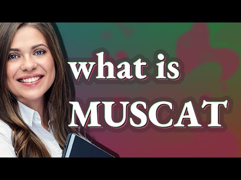 Muscat | meaning of Muscat