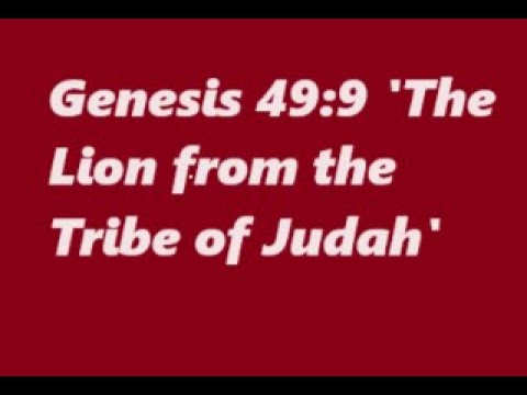 Genesis 49: The Lion of the Tribe of Judah, Catholic Bible Study, Book of Genesis