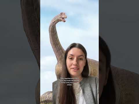 What is the Jurassic period? #NaturalHistoryMuseum #Dinosaurs #Jurassic