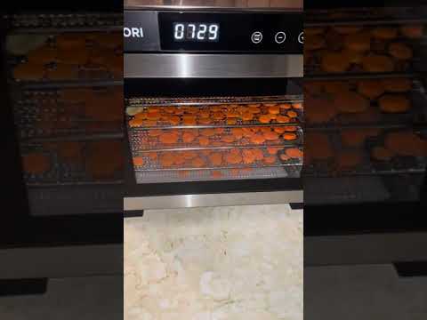 COSORI Food Dehydrator for Jerky, Large Drying Space with 6 48ft², 600