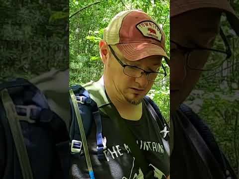 AN INCREDIBLE FIND A LOST HOMESTEAD FOUND #adventure #metaldetecting #treasuresearch