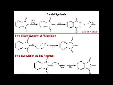 Lec9 - Gabriel Synthesis of Primary Amines