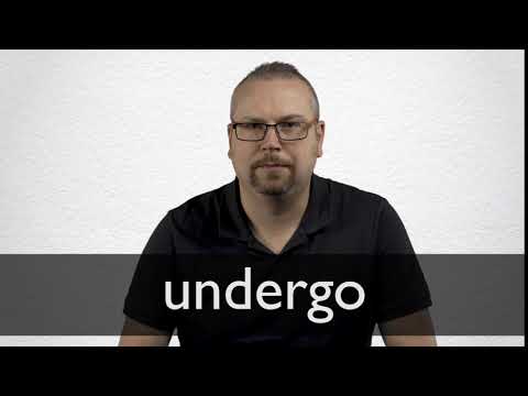 UNDERGO - Meaning & Translations | Collins English Dictionary