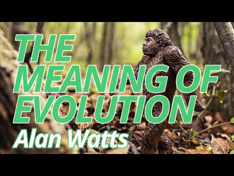 The meaning of evolution by Alan Watts