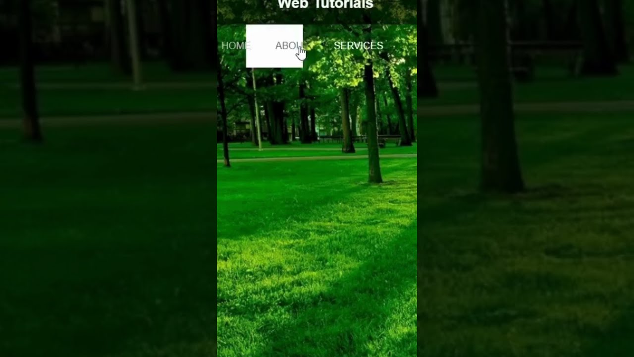 How To Create Transparent Bar Navigation With Menu Using HTML and CSS | Tutorial