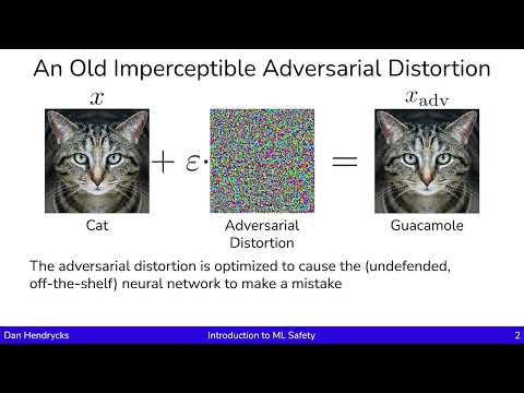 Adversarial Robustness