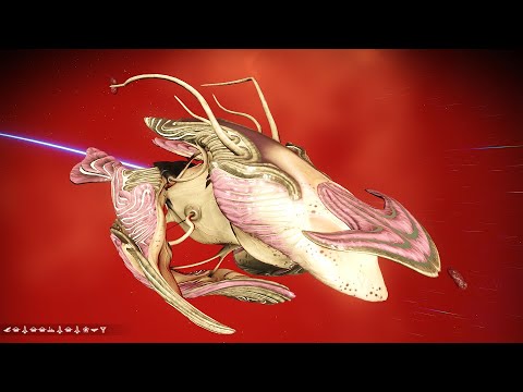 Regal Looking Gold and Pink Hammerhead Living Ship