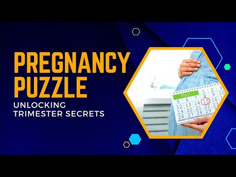 How To Calculate Your Pregnancy Trimester | A Simple Guide To Calculating Your Pregnancy Trimester