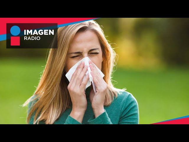 ¿Cómo identificar una reacción alérgica?