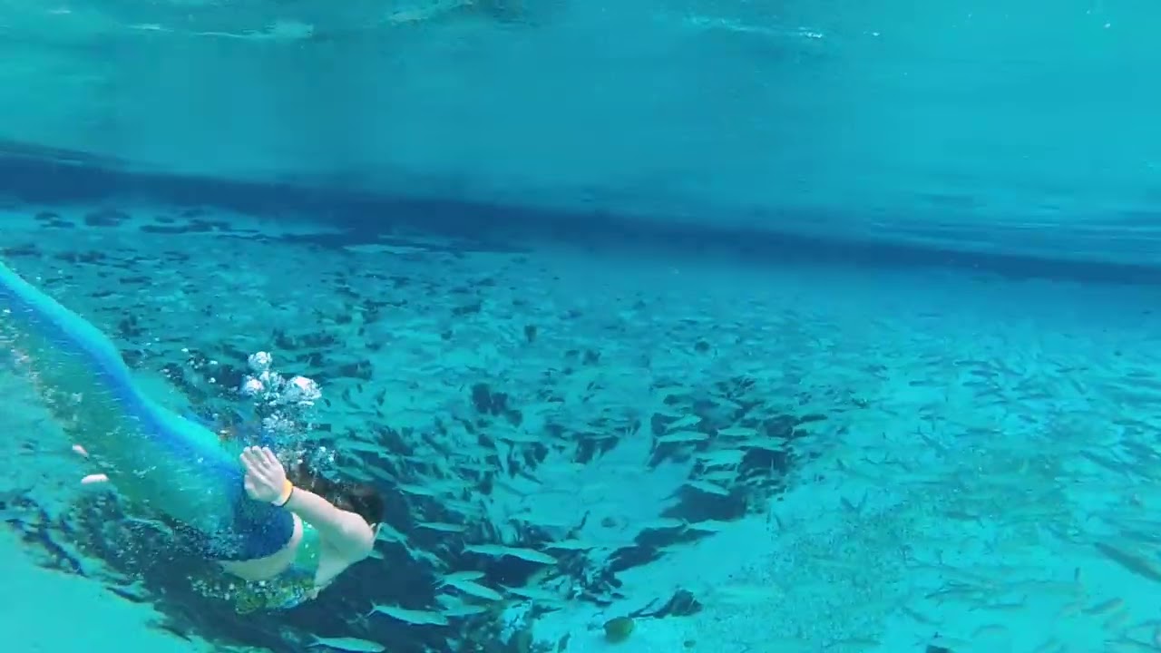 Hire Mermaid Serena Bass - Mermaid Entertainment in Vero Beach, FL ...