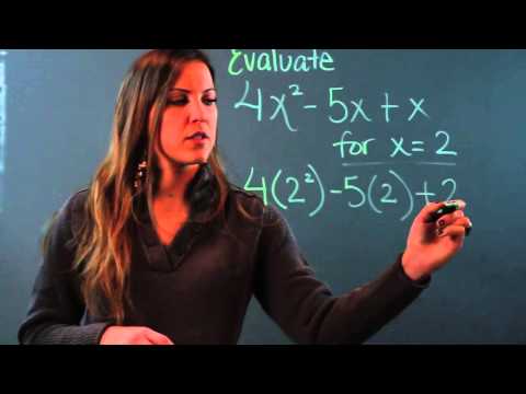 What Does Evaluating a Polynomial Mean?