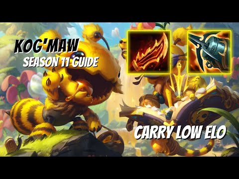 Kog'Maw Season 11 Beginner's Guide - Carry Low Elo