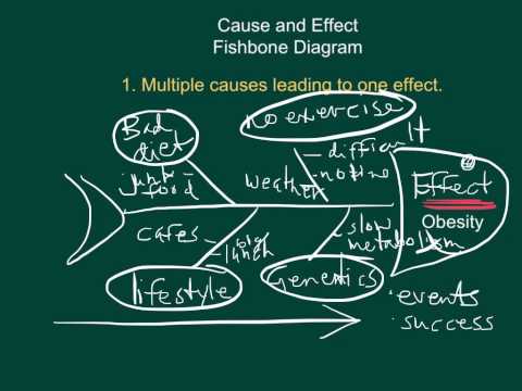 Cause and Effect Fishbone Diagrams