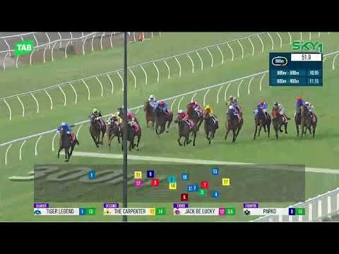 Battle Of The Bush Final 2024 - TIGER LEGEND (Qlty Hcp) Eagle Farm 29 June