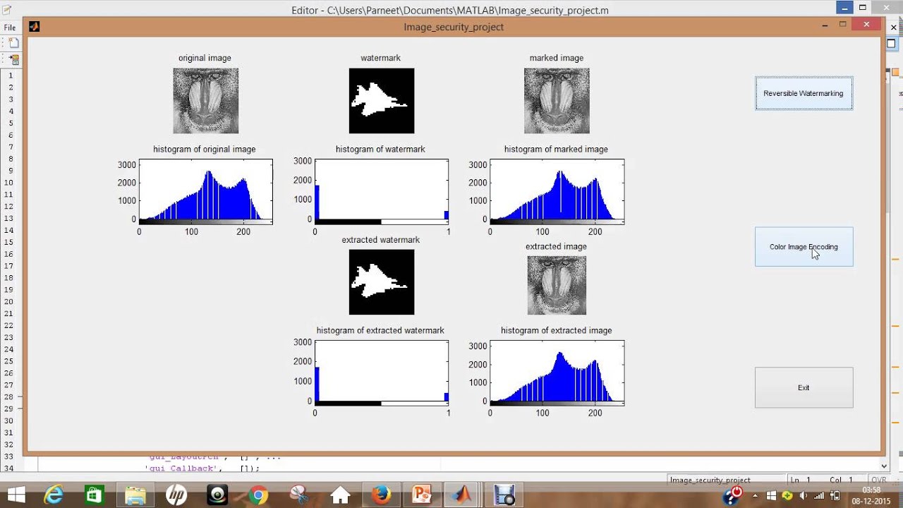 Image Security using Watermarking and Encoding