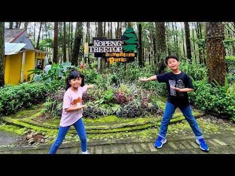 Outbound di Kopeng Treetop Adventure Park