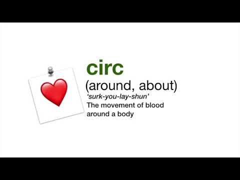 Word Roots Episode 13: 'Circ'