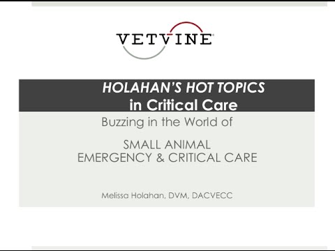 VetVine Critical Care Update - Pancreatitis Testing in Dogs