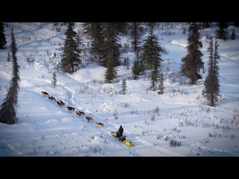 Inside the 51st Iditarod: The meaning behind the ‘Last Great Race on Earth’