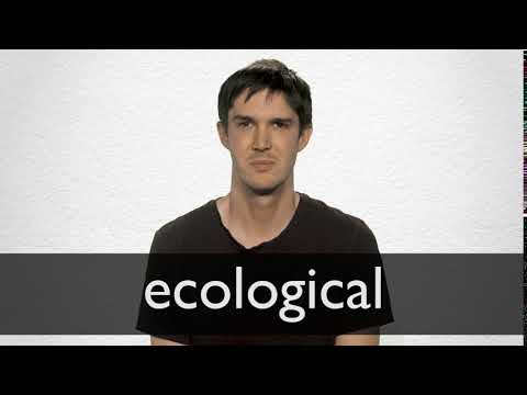 How to pronounce ECOLOGICAL in British English