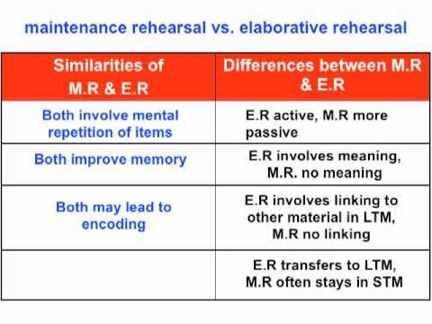 Maintenance Rehearsal vs. Elaborative Rehearsal - VCE Psych