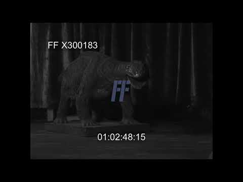 1930s newsreel - 300183X