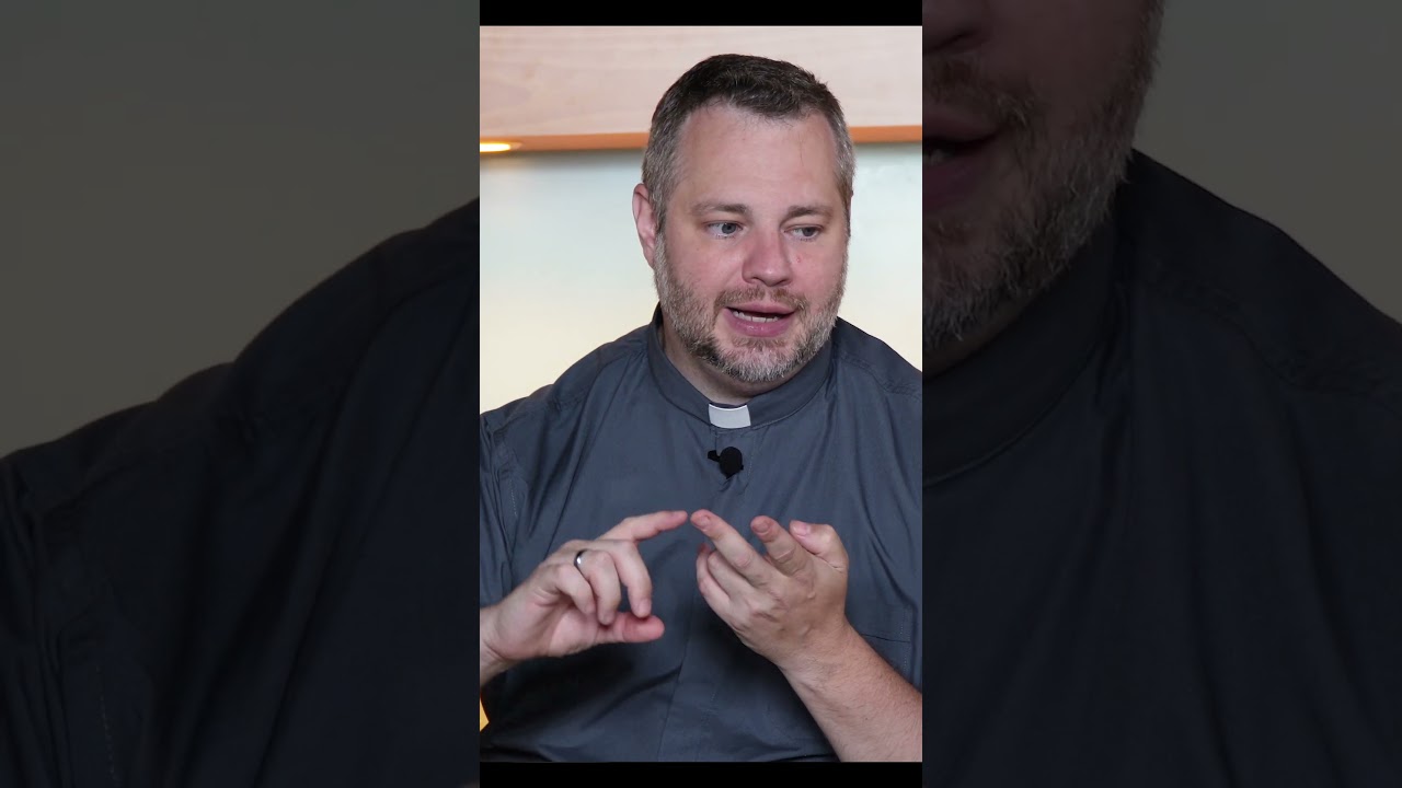 🔴Con pobreza y hambre cero la agenda 2030 busca reducir la población mundial: eso no es católico