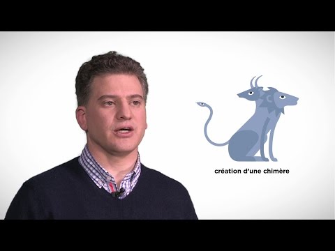 MOOC côté cours : Comment reconnaître une cellule souche pluripotente