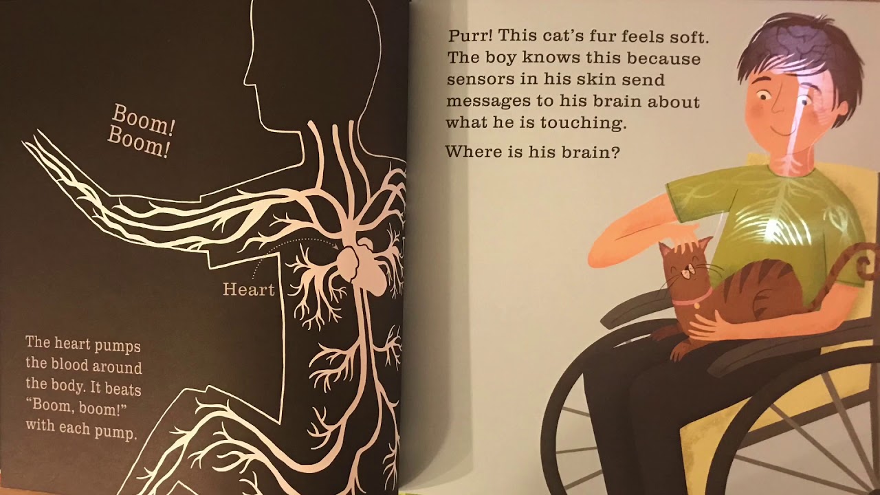 The Human Body