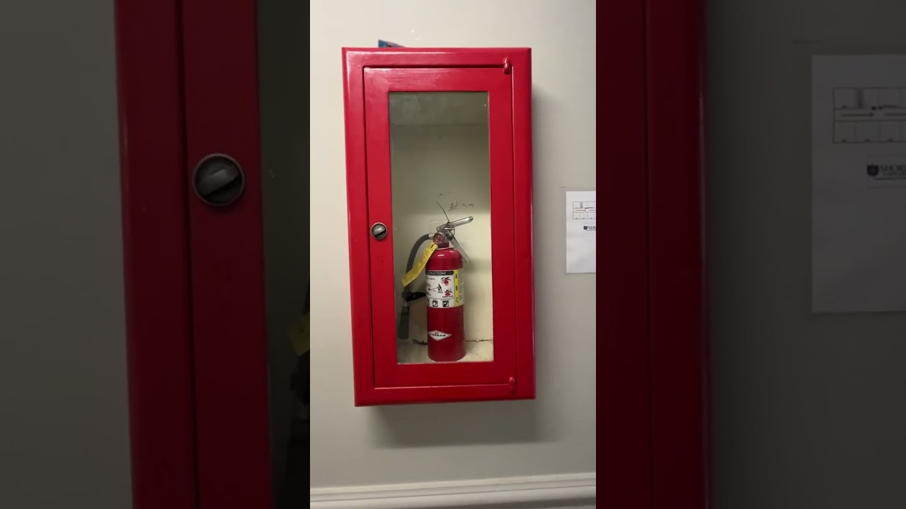 Scout & Goose Campus Safety Reel