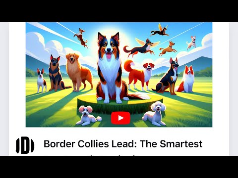 Border Collies Lead: The Smartest Dog Breeds Ranked!!