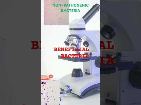 NON- PATHOGENIC BACTERIA#beneficialbacteria