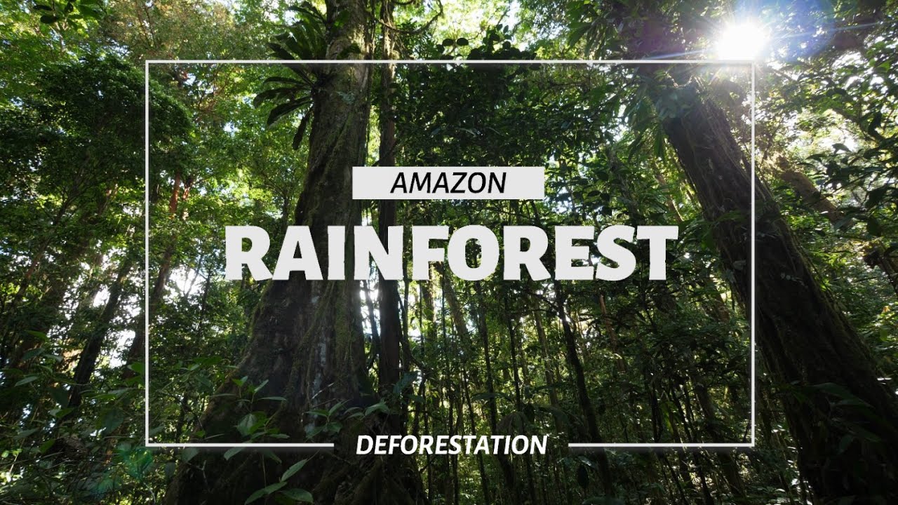 Amazon Deforestation