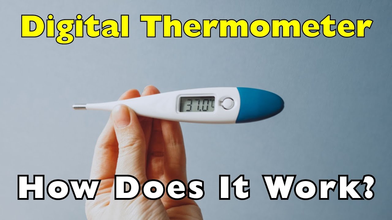 Digital Thermometer: How Does It Work?