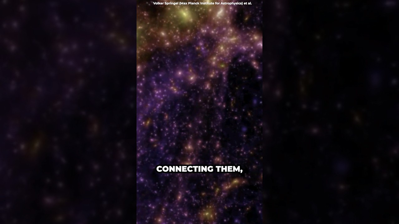 The brain, the universe, and fractals. #brain #universe #fractal #cosmos #cosmoknowledge #space
