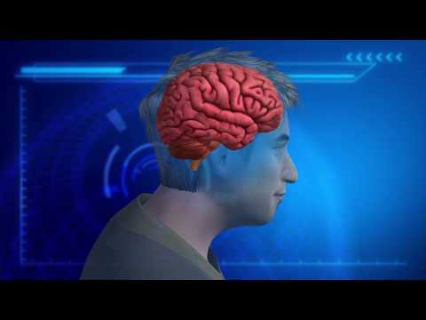 Study claims shooter games can harm the brain