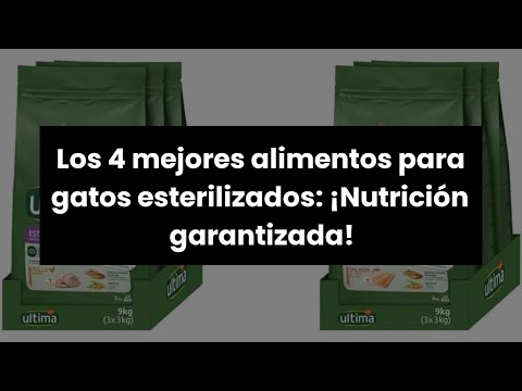 Los 4 mejores alimentos para gatos esterilizados: ¡Nutrición garantizada!