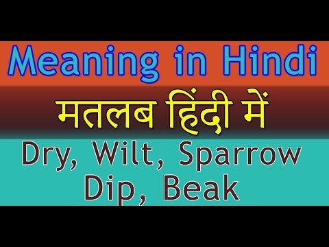 Dry | Wilt | Sparrow | Dip | Beak | Meaning in Hindi with Examples | मतलब हिंदी में