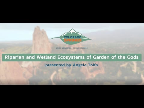 Riparian and Wetland Ecosystems