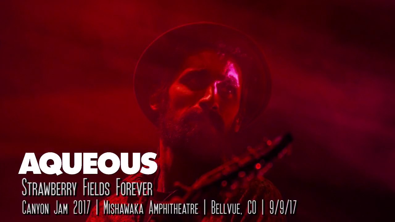 Strawberry Fields Forever (LIVE) Canyon Jam 2017