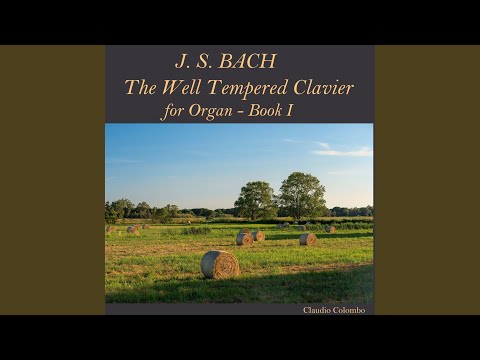 The Well Tempered Clavier, Book I, for Organ: Fuga XIX in A Major BWV 864
