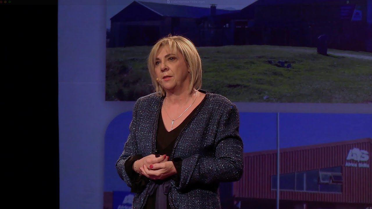 Why Vocational Training Works in Africa: The Key to Youth Employment | Elsie Harmse | TEDxGeorge
