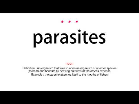 How to pronounce parasites - Vocab Today