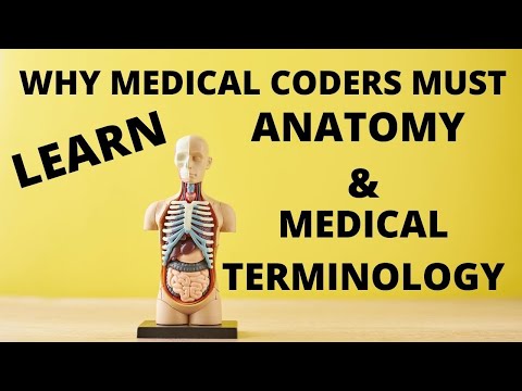 WHY MEDICAL CODERS MUST LEARN MEDICAL TERMINOLOGY, ANATOMY AND PHYSIOLOGY | MEDICAL CODING WITH BLEU