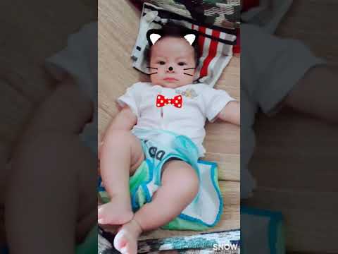 Chú mèo bánh mì