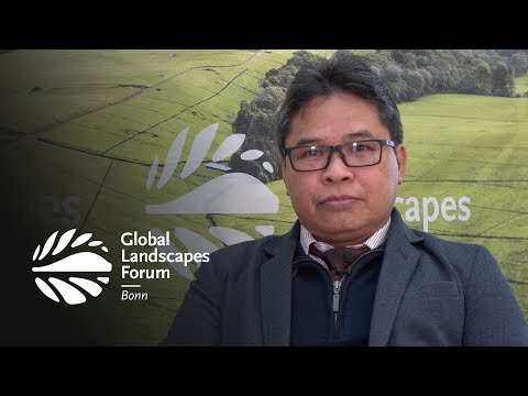 Why peatlands matter?