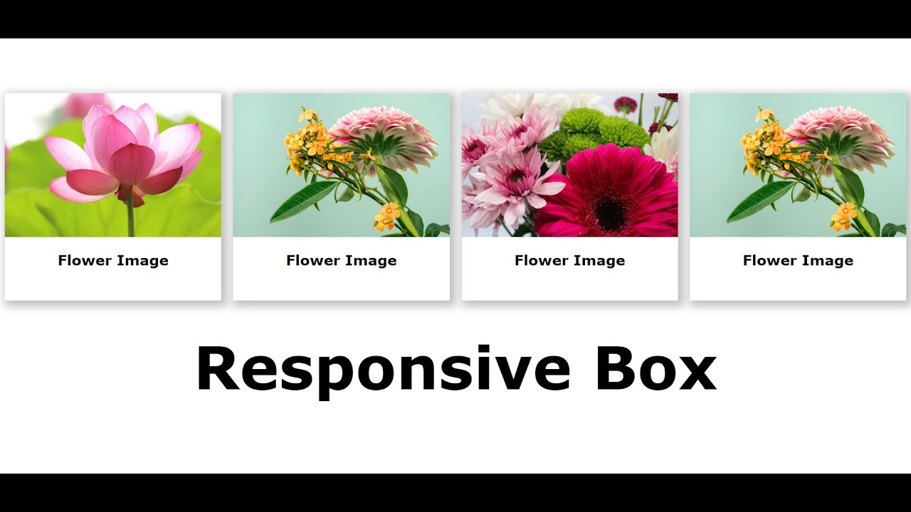 Responsive box using Media Query || Codingify